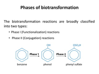 Translocation of toxicants | PPTX