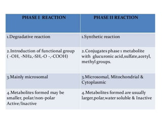 Translocation of toxicants | PPTX