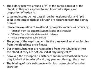 Translocation of toxicants | PPTX