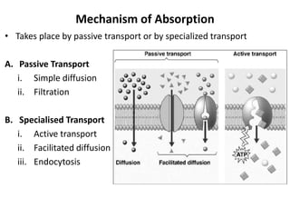 Translocation of toxicants | PPTX