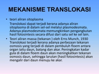 Translokasi | PPTX