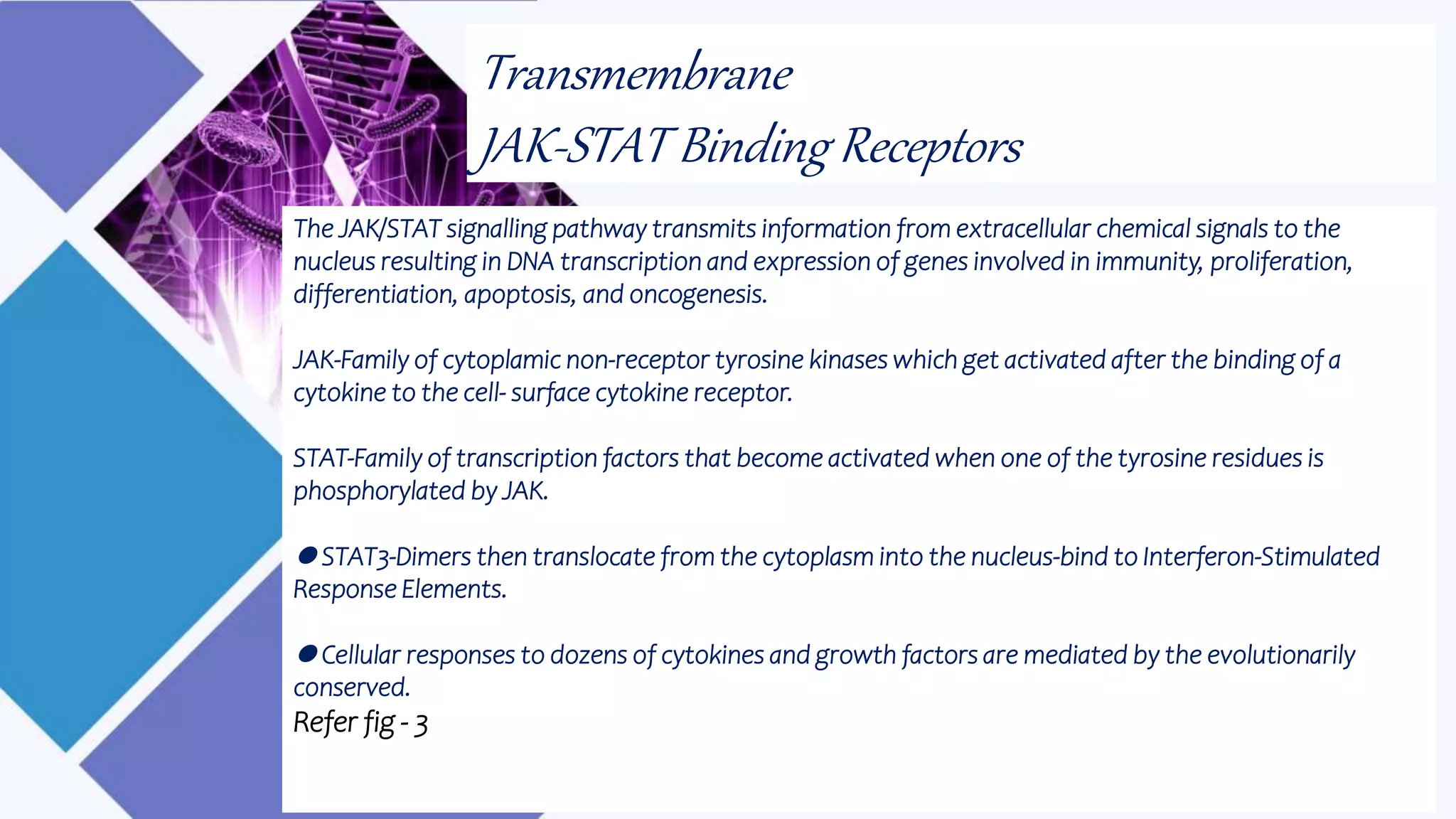 Transmembrane Enzyme Linked receptors Transmembrane JAK-STAT binding ...