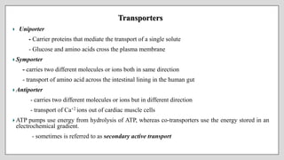 Transmembrane transport of ions and small molecules by Kainat Ramzan | PPT