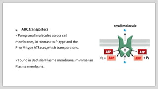 Transmembrane transport of ions and small molecules by Kainat Ramzan | PPTX