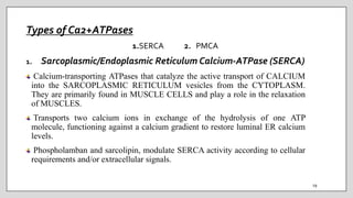 Transmembrane transport of ions and small molecules by Kainat Ramzan | PPT