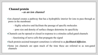 Transmembrane transport of ions and small molecules by Kainat Ramzan | PPTX