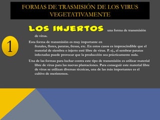 Transmisión de virus de forma vegetativa | PPTX