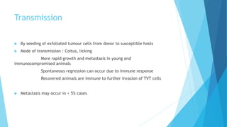 Transmissible Venereal Tumors in dogs.pptx