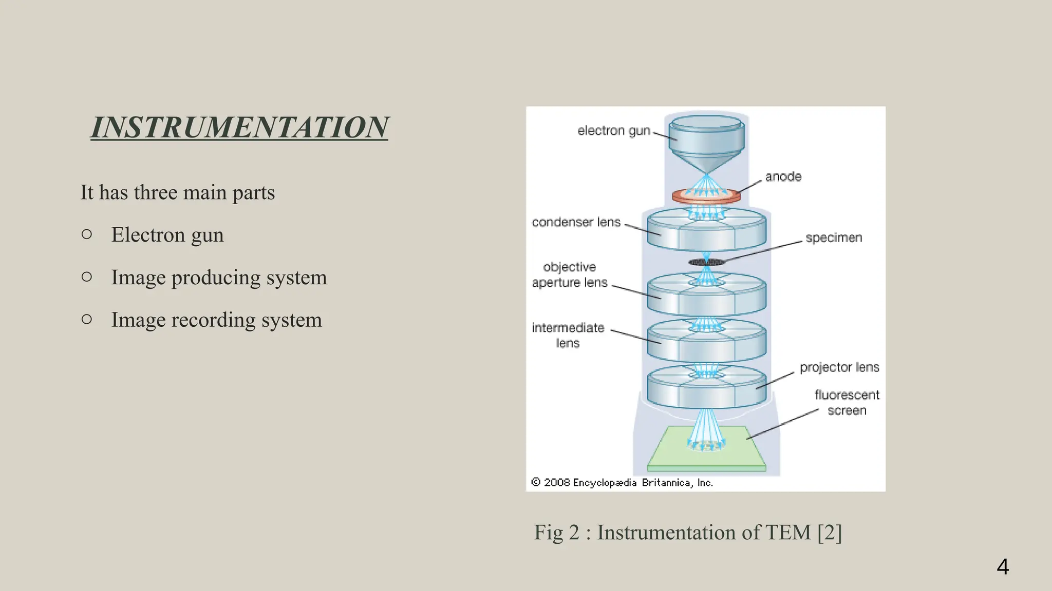 Transmission Electron Microscopy TEM.pptx