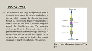 Transmission Electron Microscopy TEM.pptx