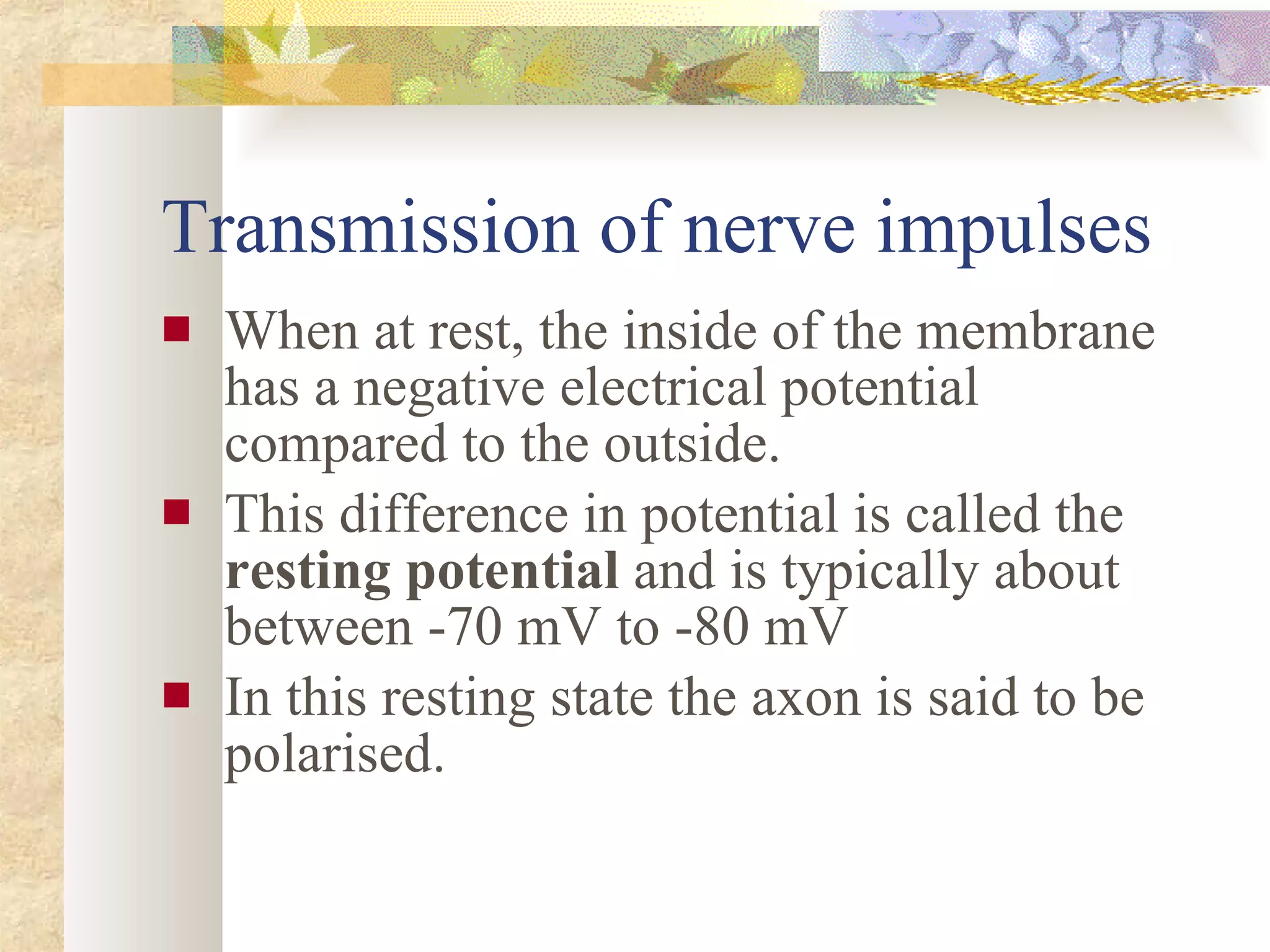 Transmission Of Nerve Impulses | PPT