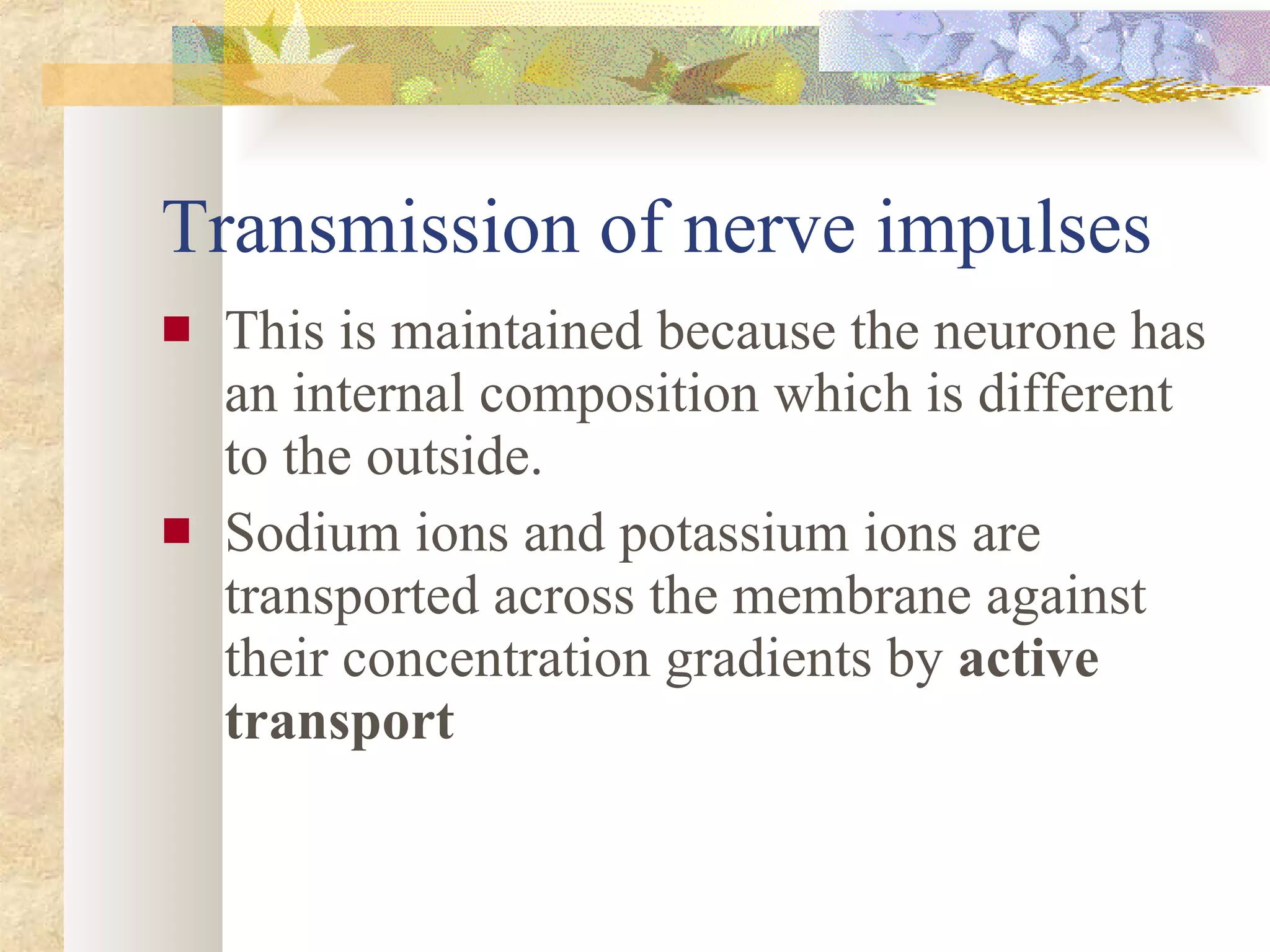 Transmission Of Nerve Impulses | PPT