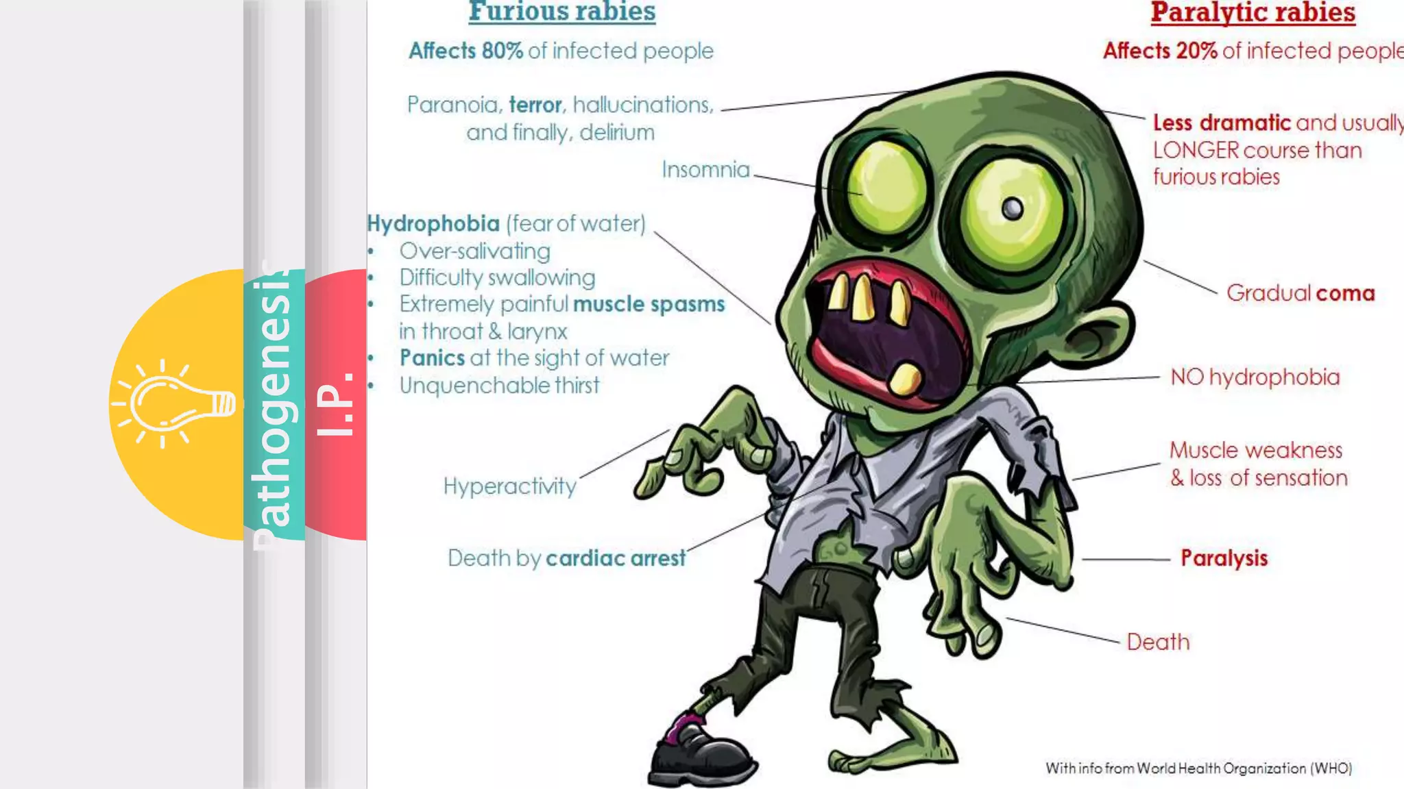 Transmission and pathogenesis of rabies | PPTX