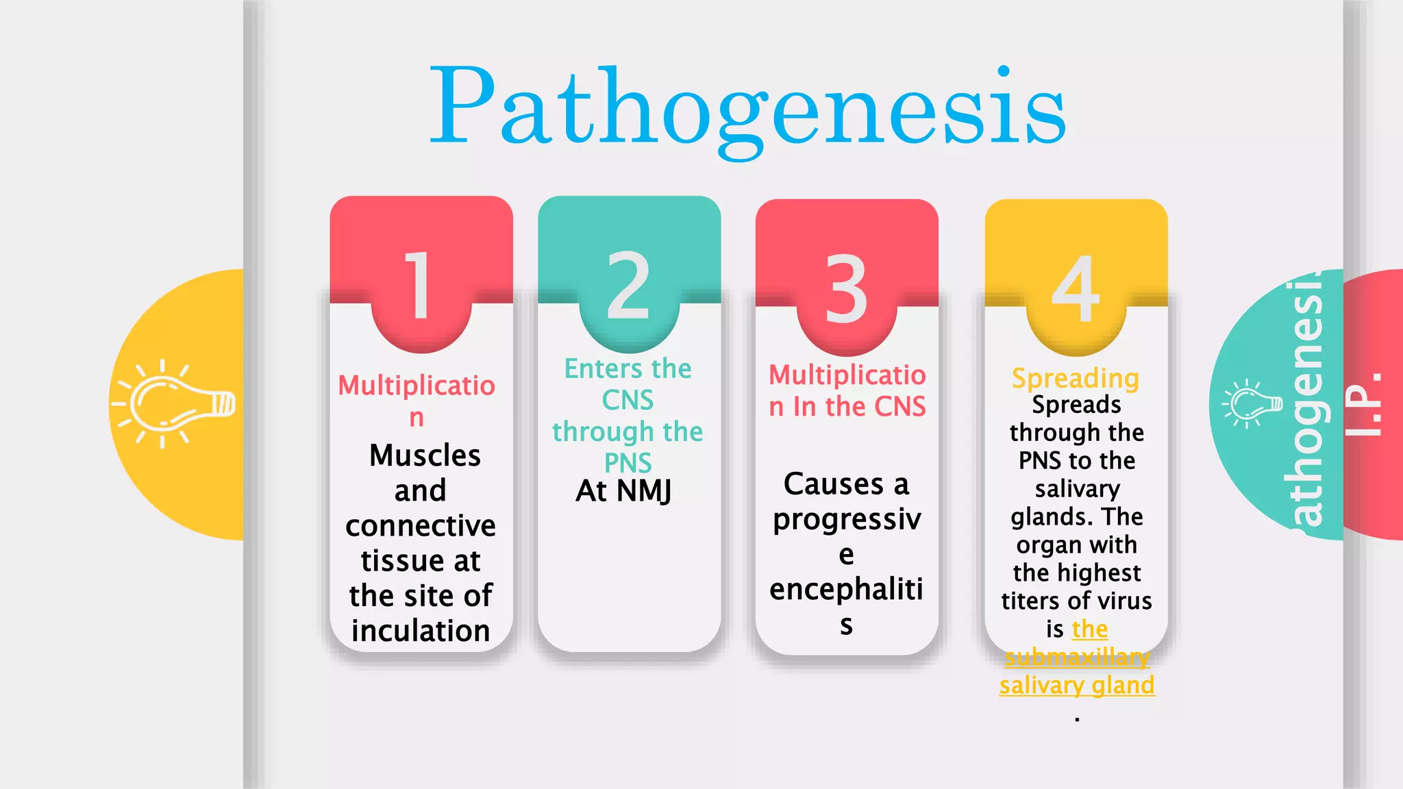 Transmission and pathogenesis of rabies | PPTX