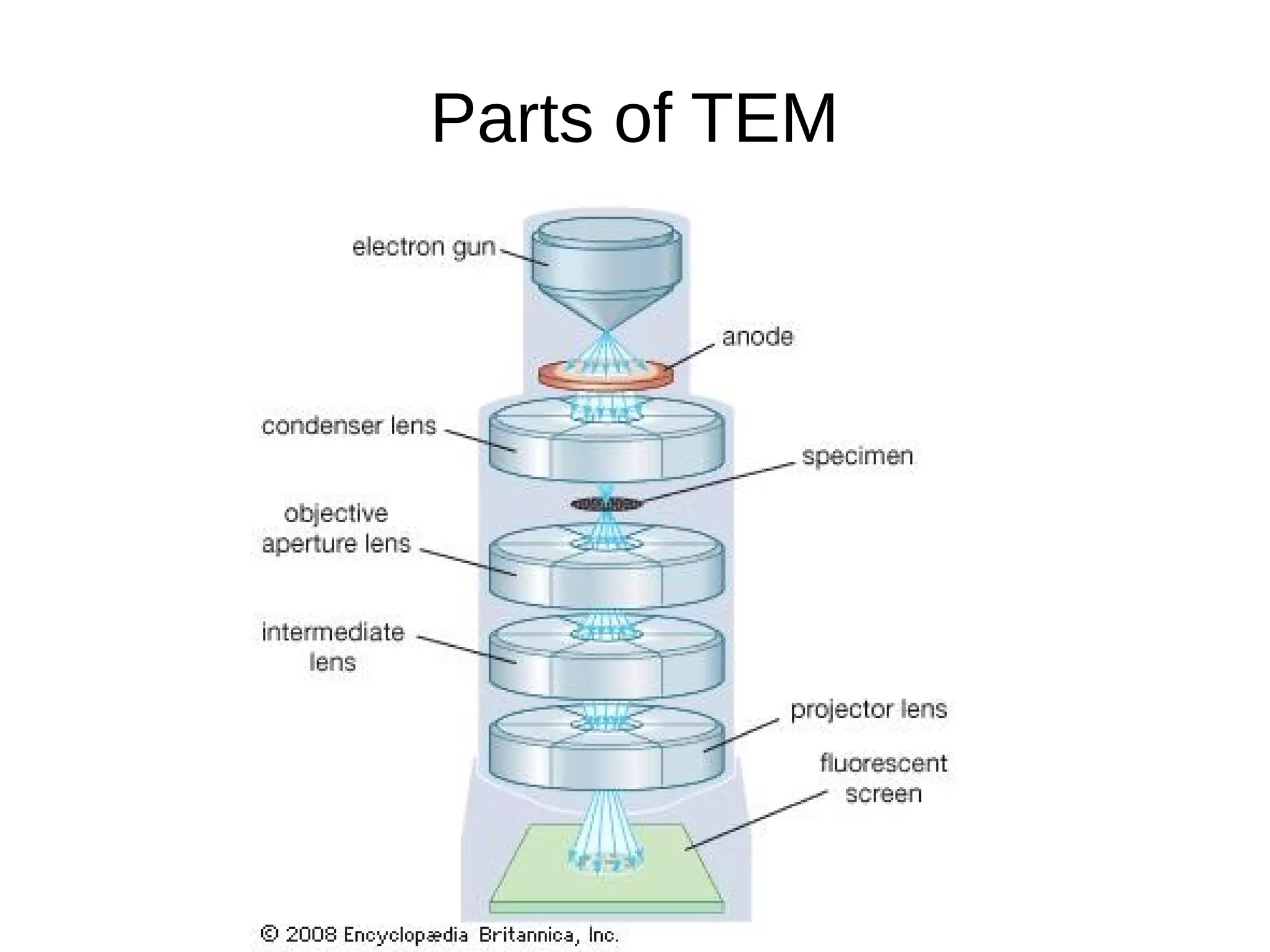 Transmission electron microscope | ODP