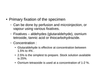 Transmission electron microscope | ODP