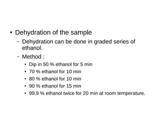 Transmission electron microscope | ODP