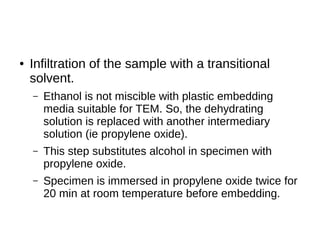 Transmission electron microscope | ODP