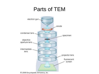 Transmission electron microscope | ODP