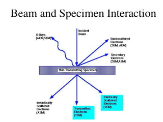 Transmission electron microscope | ODP