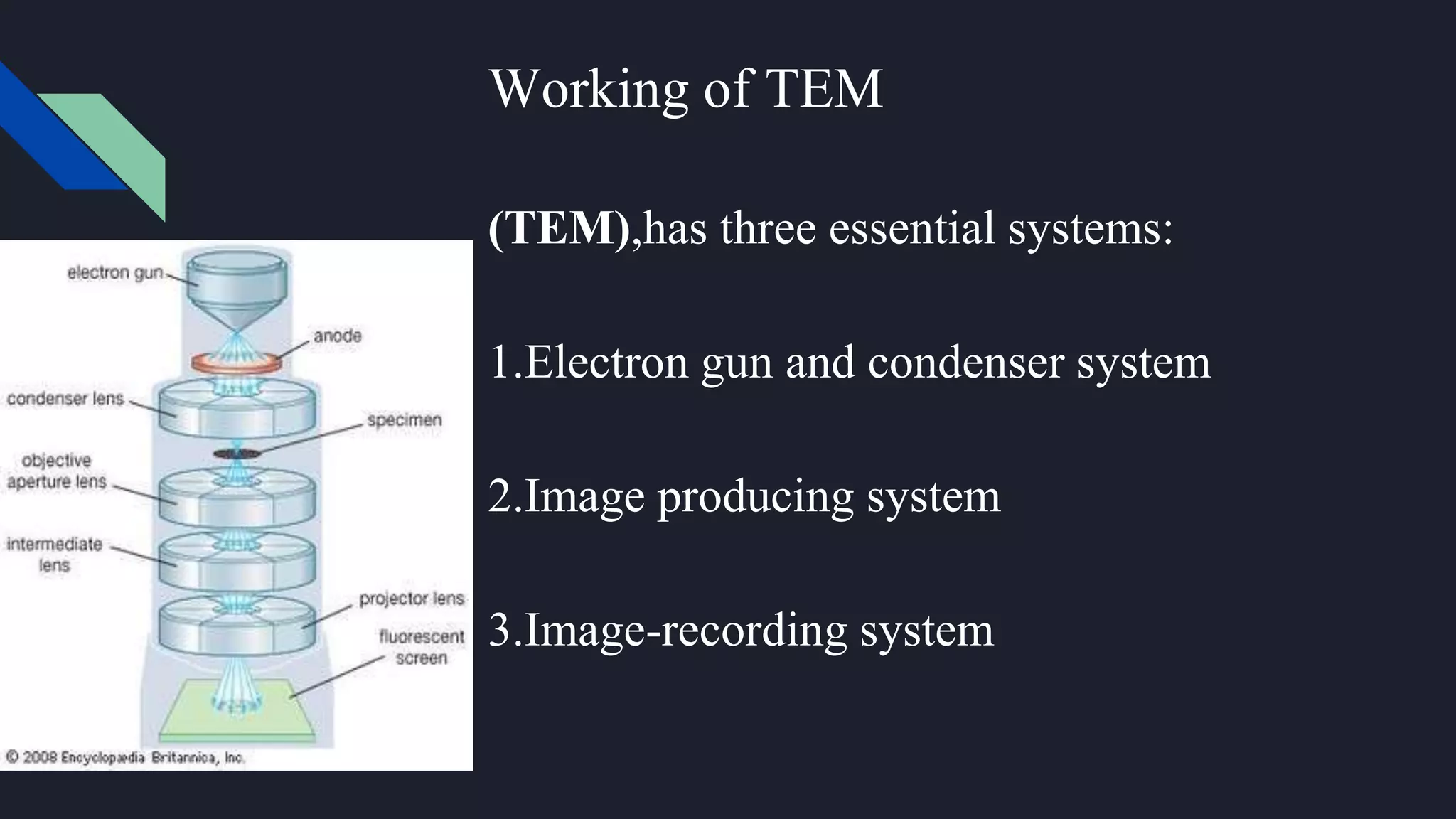 Transmission Electron Microscope | PPTX