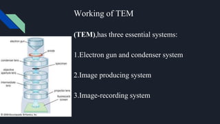 Transmission Electron Microscope | PPTX