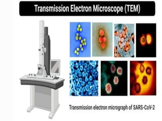 Transmission electron microscope | PPT