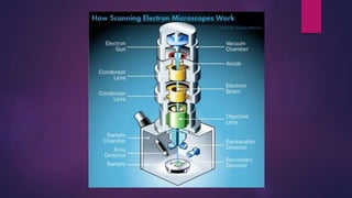 Transmission electron microscope | PDF