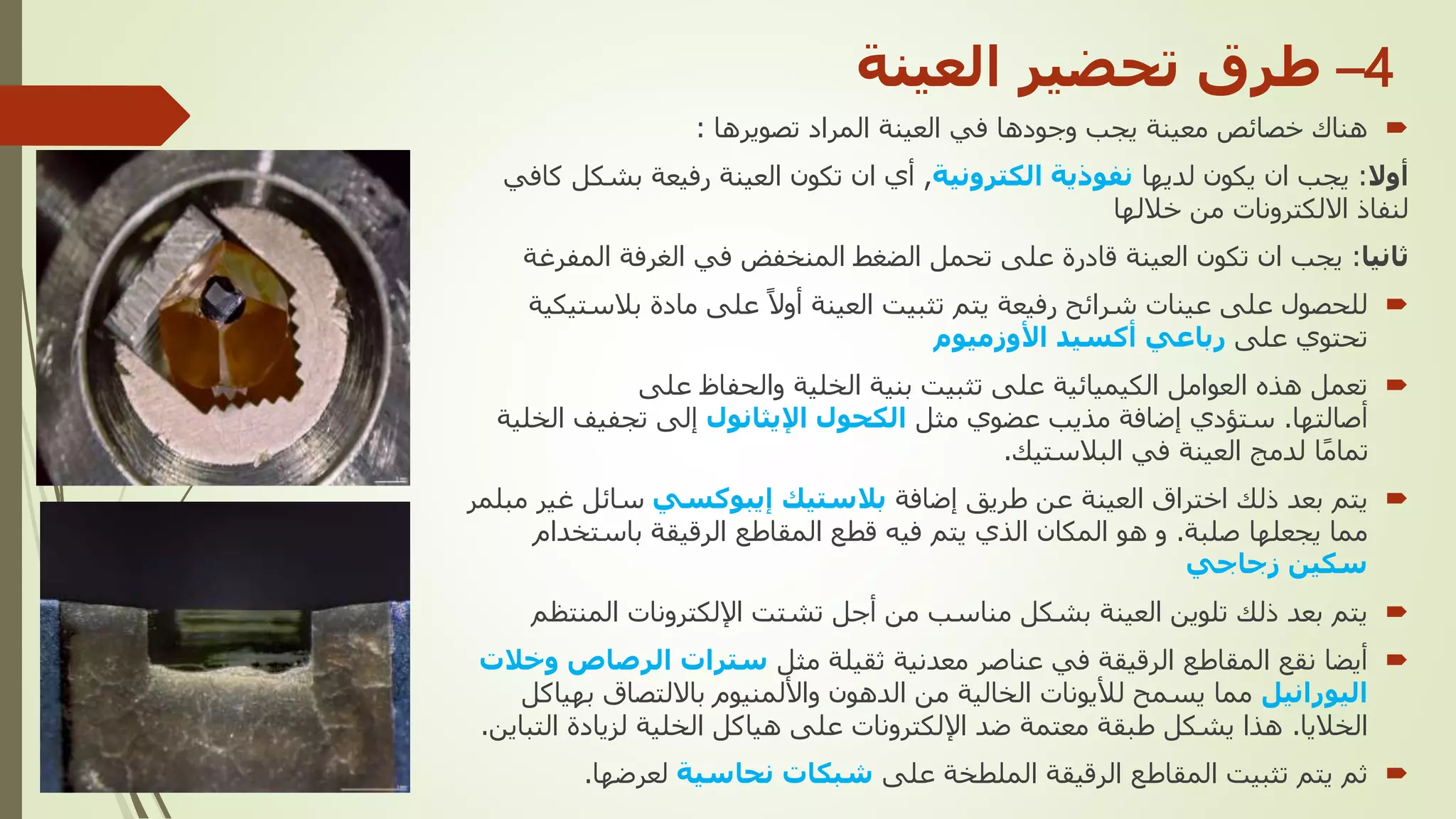 Transmission Electron Microscope.pptx