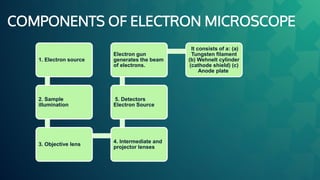 Transmission electron microscope | PPT