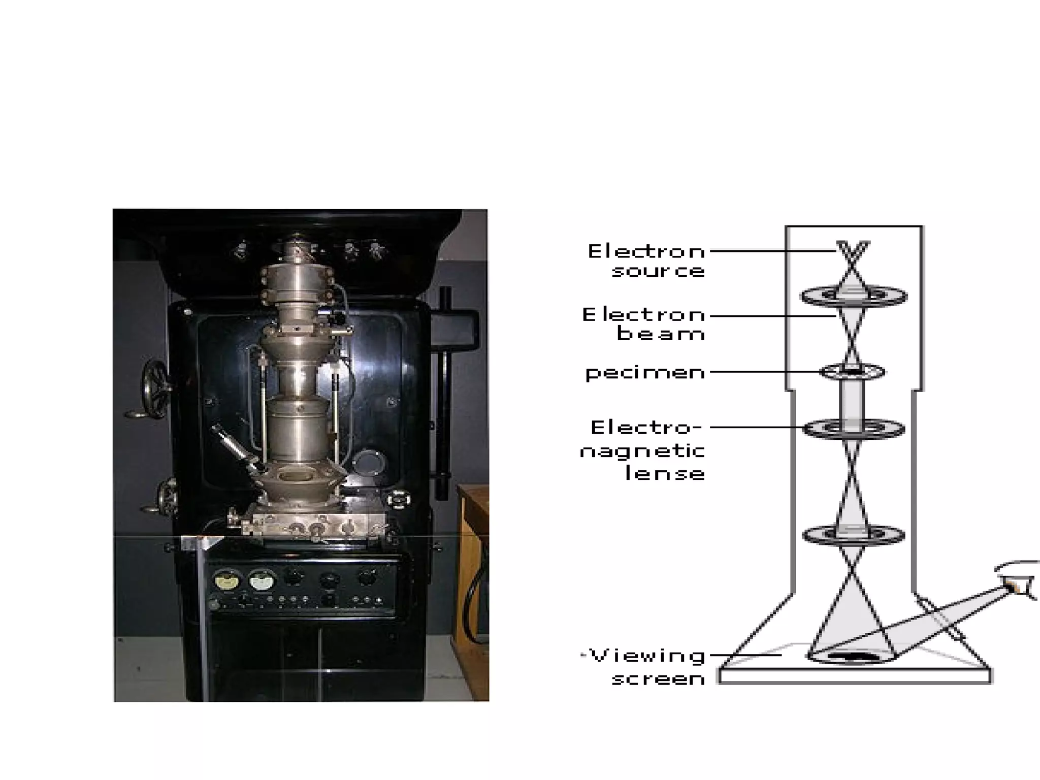 Transmission electron microscopeppt | PPT