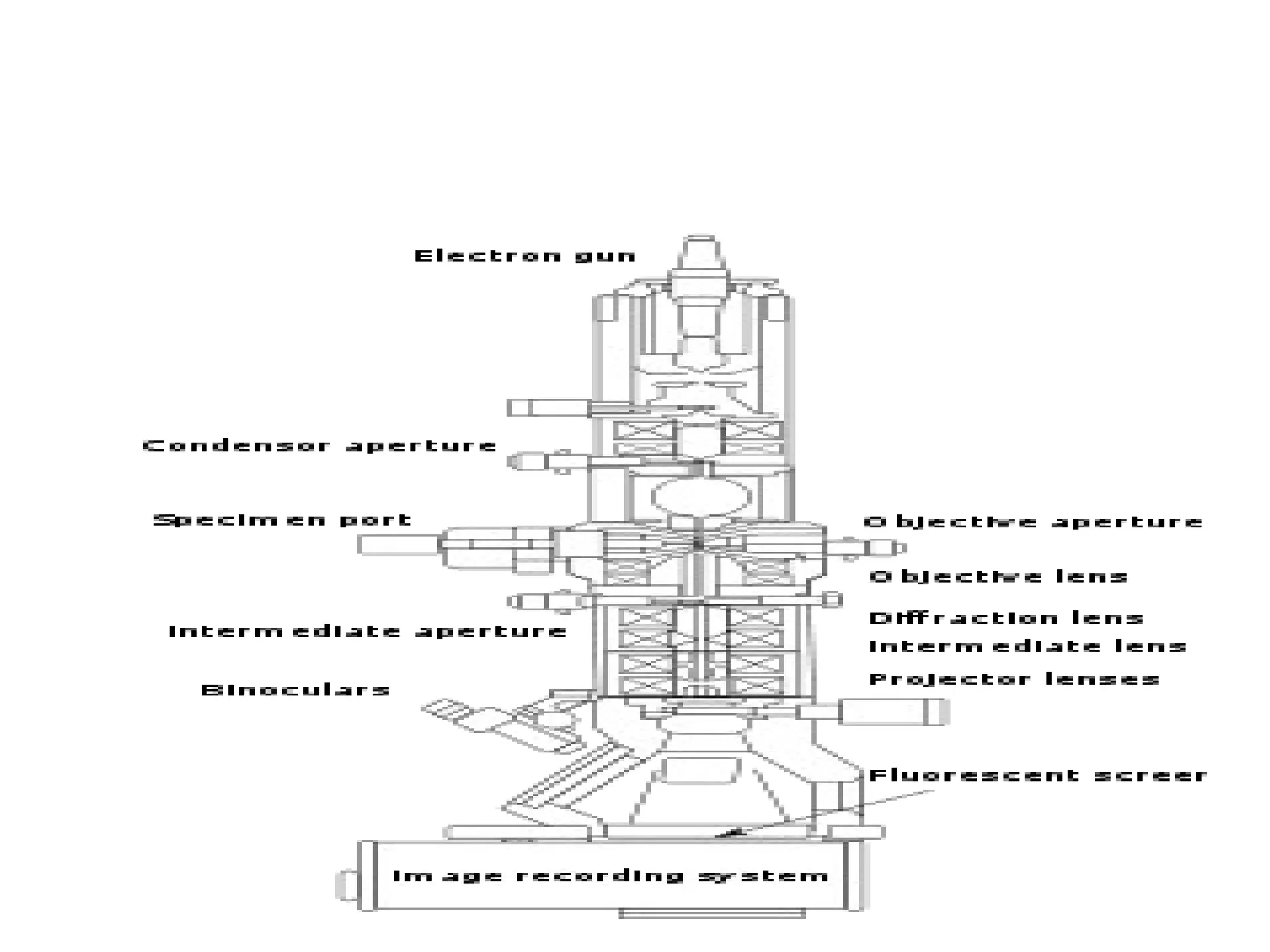Transmission electron microscopeppt | PPT