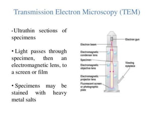 Transmission electron microscopy | PPTX