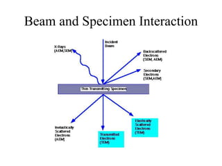 Transmission electron microscopy (1) (1) | PPT