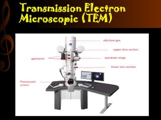Transmission electron microscopy new | PPTX