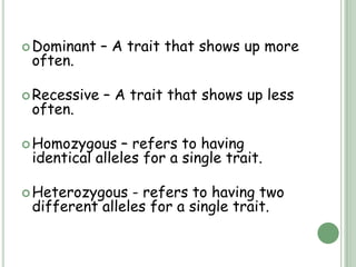 Transmission Genetics | PPT