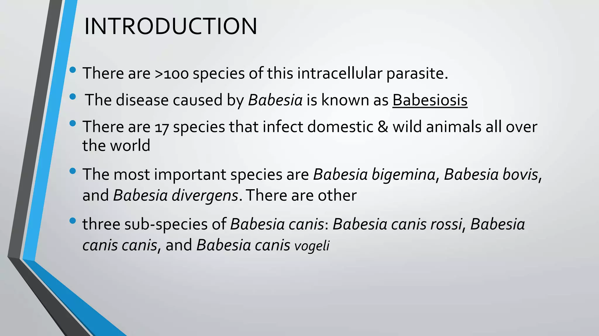 Transmission of babesia | PPTX