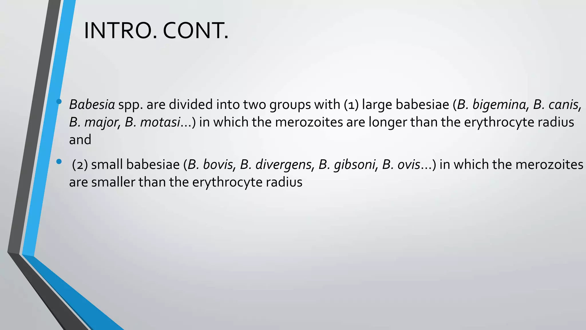 Transmission of babesia | PPTX