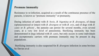Transmission of babesia | PPTX | Biological Sciences | Science