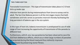 Transmission of babesia | PPTX | Biological Sciences | Science