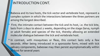 Transmission of babesia | PPTX | Biological Sciences | Science