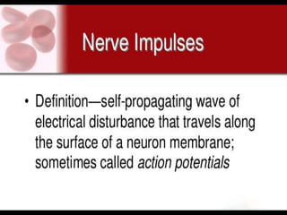 Transmission of nerve impulse | PPT