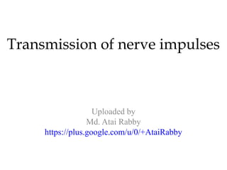 Transmission of nerve impulses | PPT