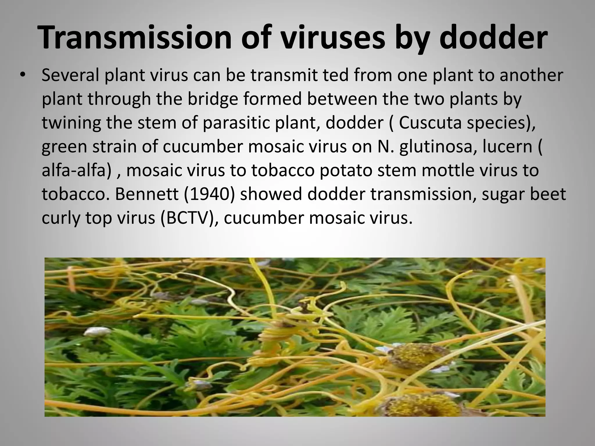 Transmission of plant viruses | PPTX