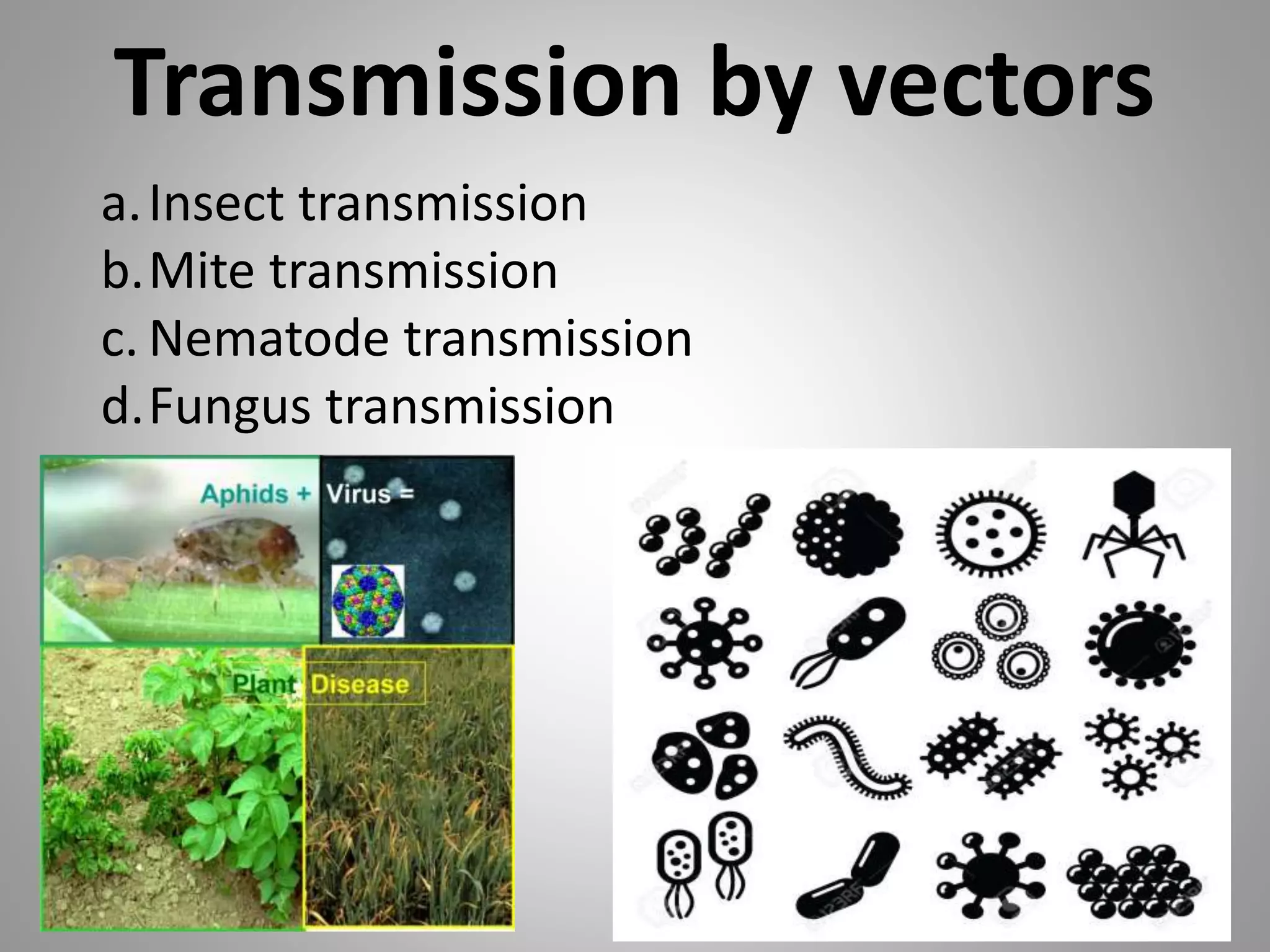 Transmission of plant viruses | PPTX