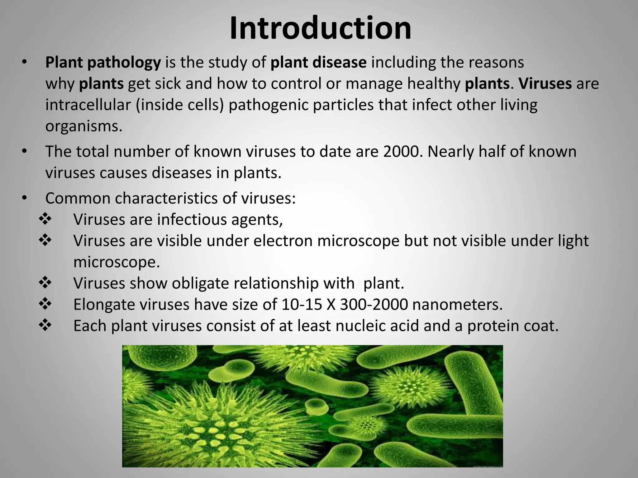 Transmission of plant viruses | PPTX