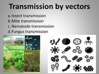 Transmission of plant viruses | PPTX