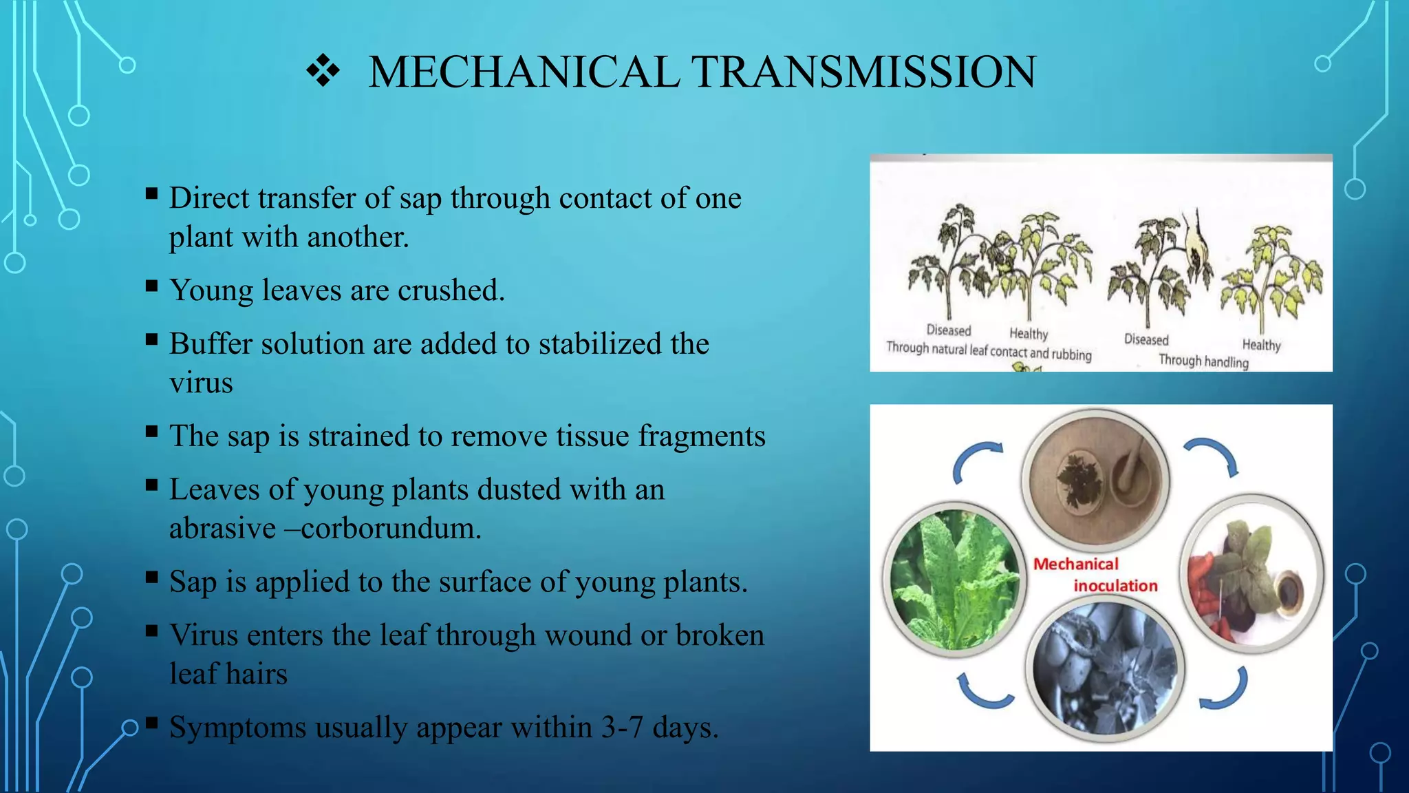 Transmission of plant viruses | PPTX
