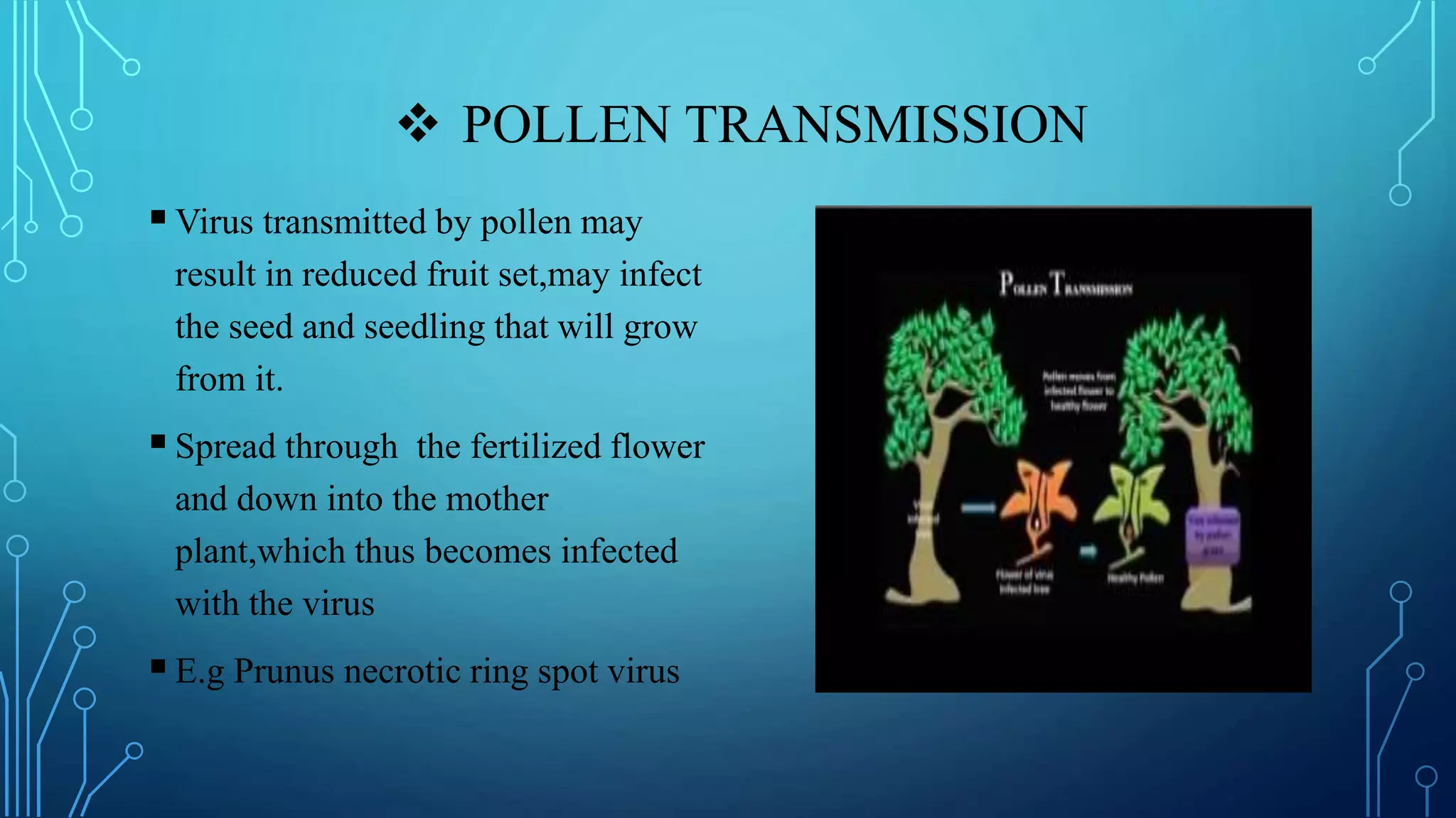 Transmission of plant viruses | PPTX