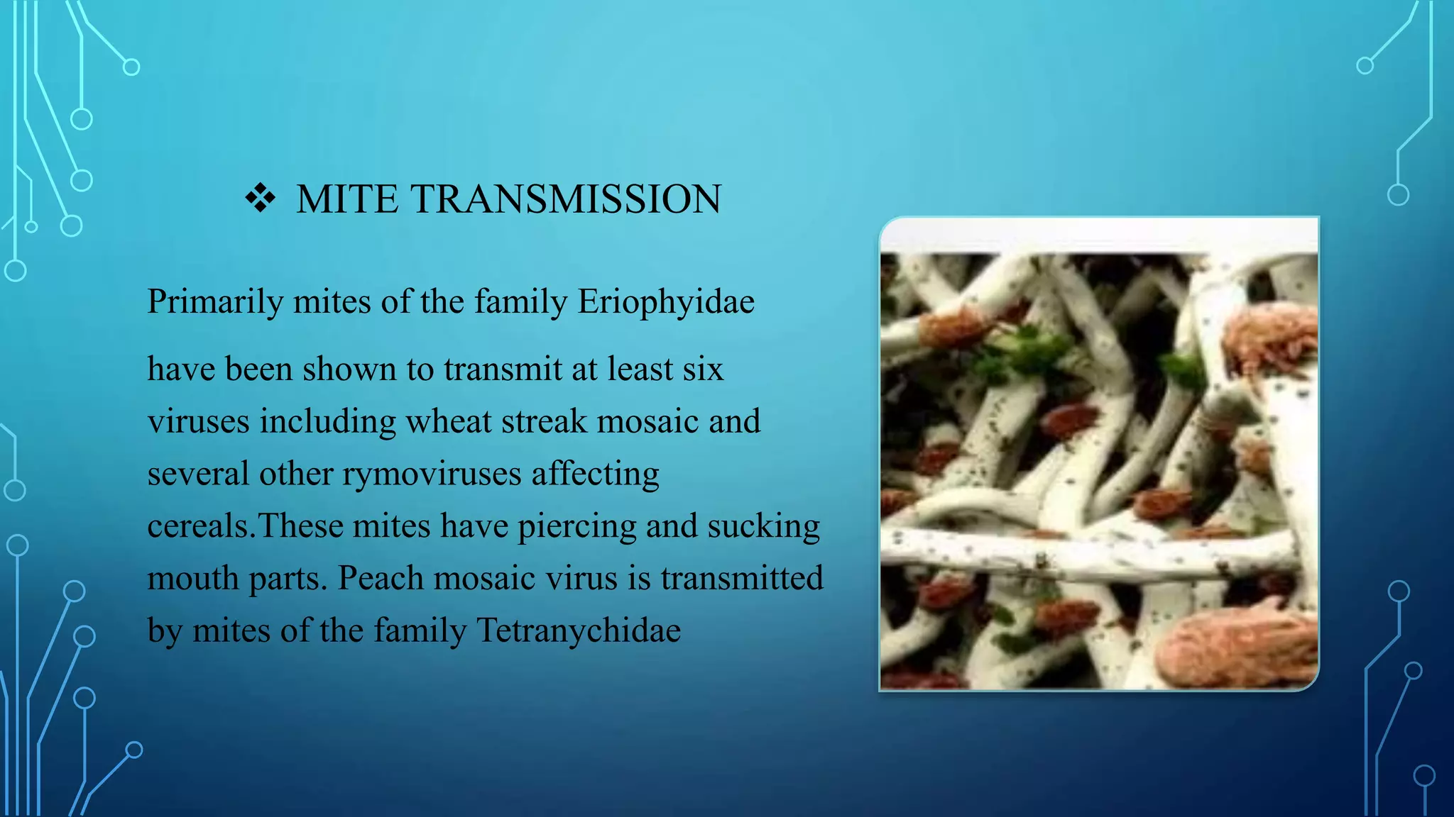 Transmission of plant viruses | PPTX